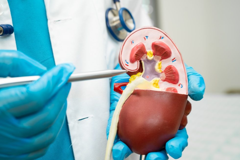 Toledo Acute Kidney Injury (AKI) Doctor | Toledo Clinic Nephrology